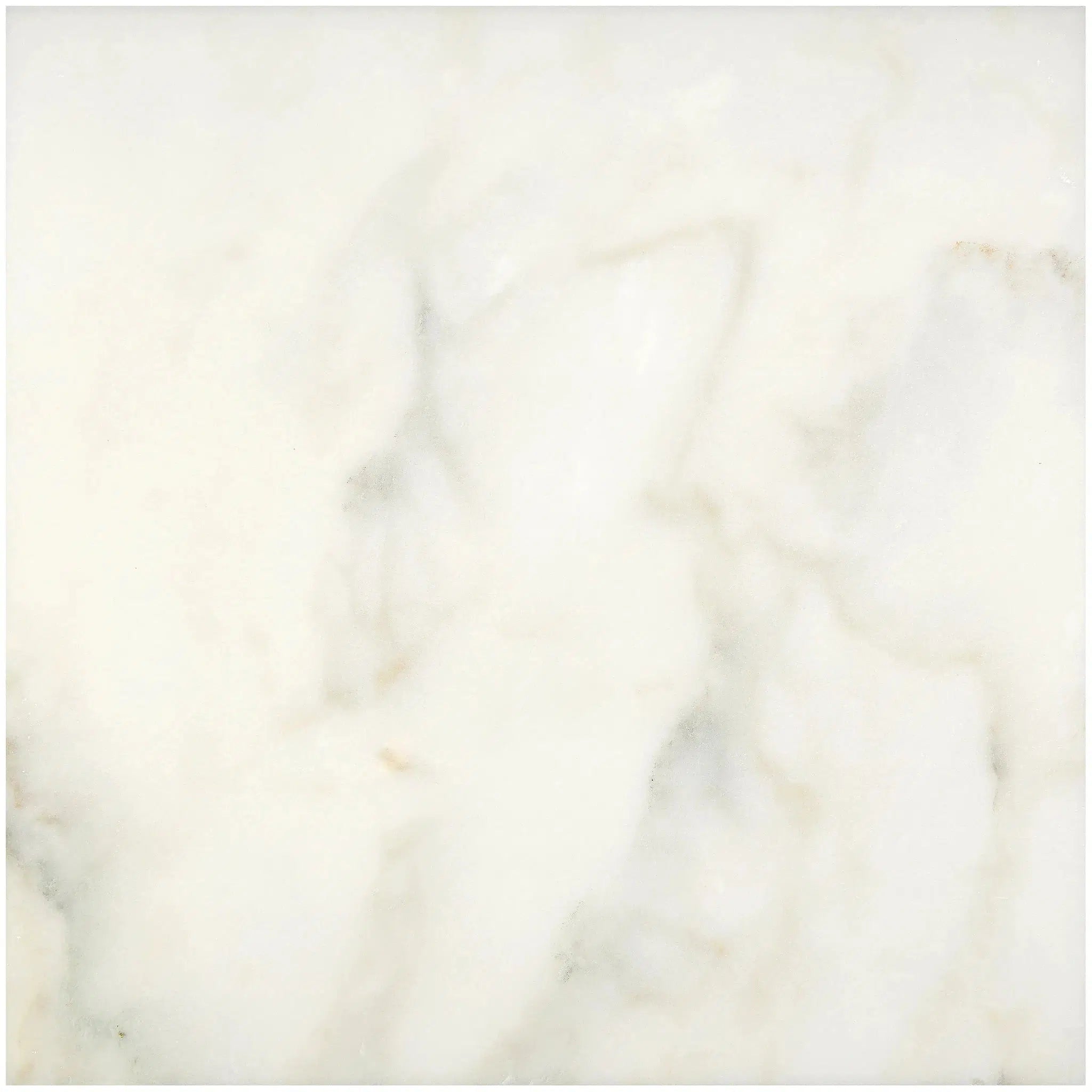 18x18 Calacatta Oliva Marble Honed Tile - American Tile Depot